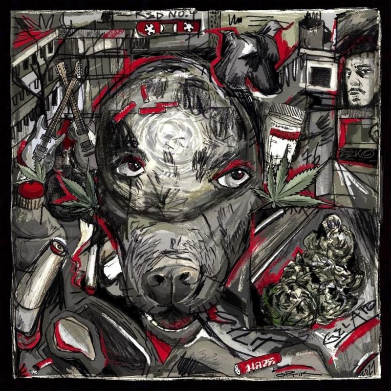 Haze (Alben, Biografie, Diskografie, Releases & mehr)